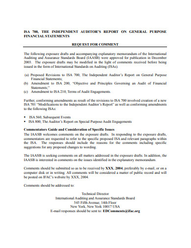 11+ Independent Auditor Report Templates in PDF | WORD