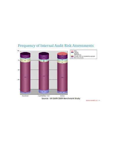 10+ Internal Audit Risk Assessment Templates in DOC | PDF