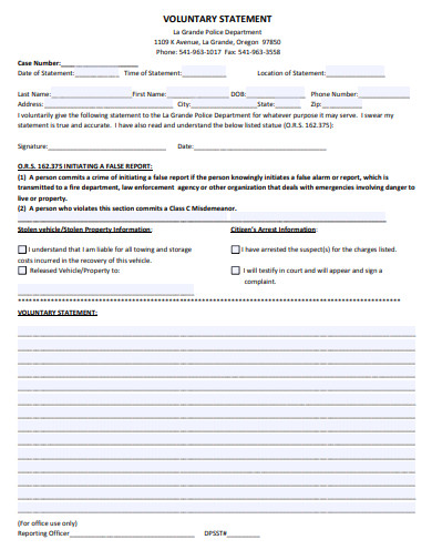 10+ Voluntary Statement Templates in PDF | DOC