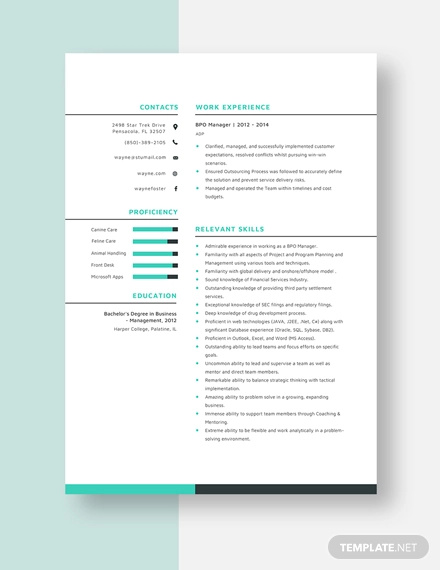 38+ BPO Resume Templates - PDF, DOC