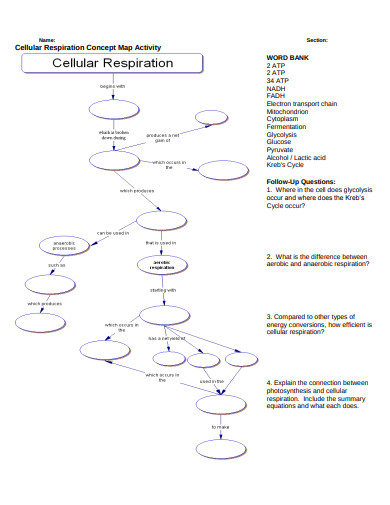 11+ Cellular Respiration Concept Map Templates in PDF | Doc