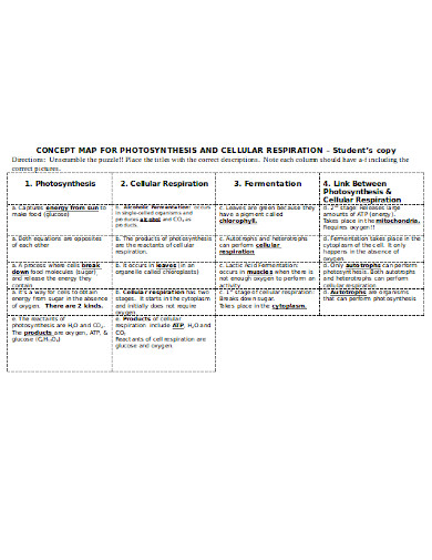 11+ Cellular Respiration Concept Map Templates in PDF | Doc
