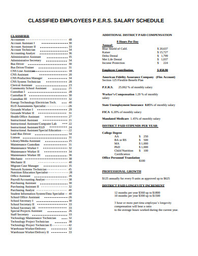 11+ Classified Employee Salary Schedule Templates in PDF | Doc