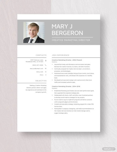 Marketing Resume Format Template - 33+ Free Word, PDF Format Download!