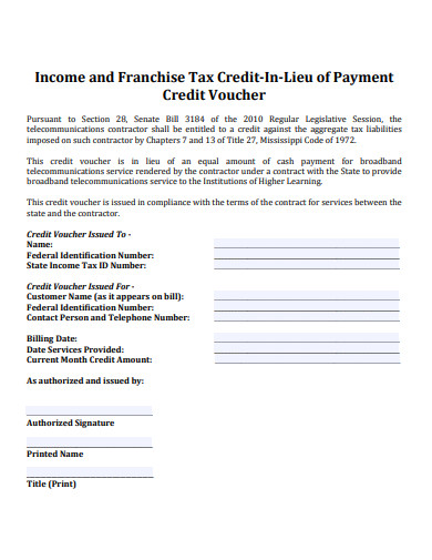 10+ Credit Voucher Templates in PDF | DOC