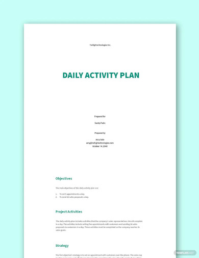 36+ Activity Plan - Sample, Example, Format