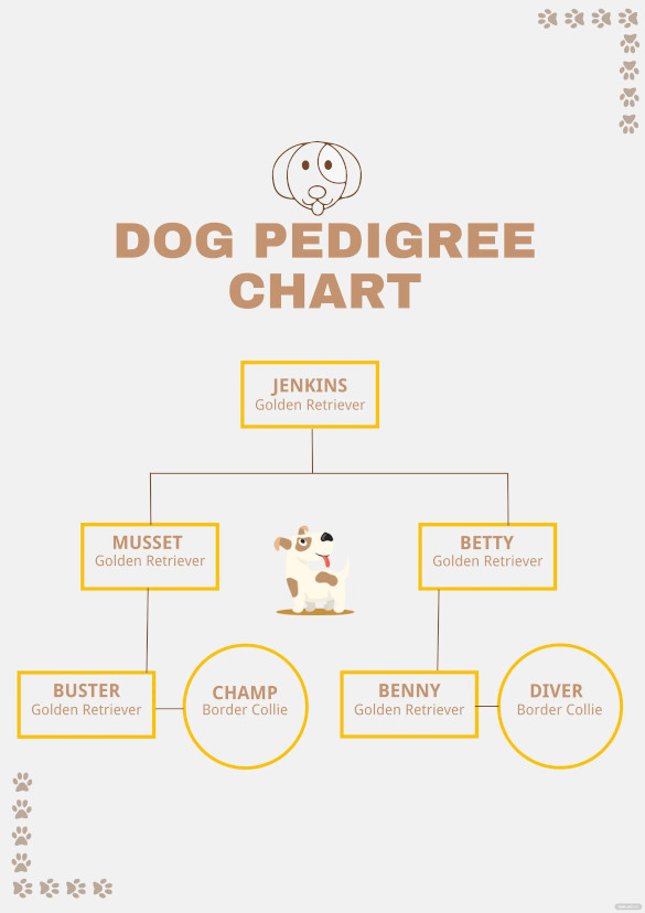 31+ Pedigree Chart Templates - PDF, DOC, Excel