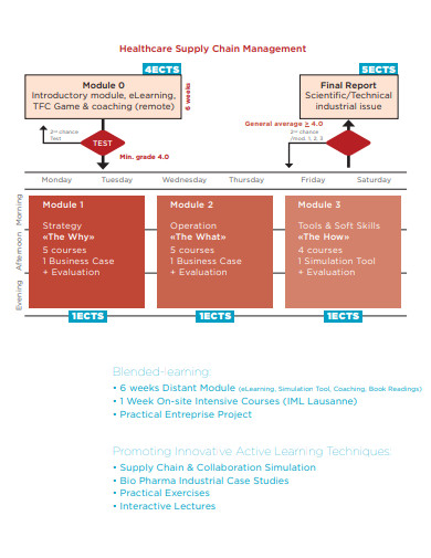 11+ Healthcare Supply Chain Templates in PDF | MS Word