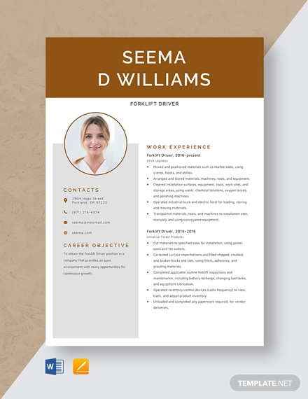 Driver Resume Template - 27+ Free Word, PDF Document Downloads