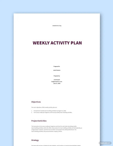 36+ Activity Plan - Sample, Example, Format