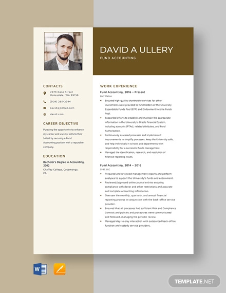Free Cv Template For Accountant FREE PRINTABLE TEMPLATES