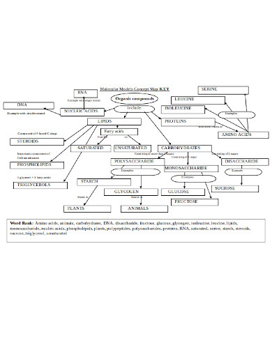 11+ Cellular Respiration Concept Map Templates in PDF | Doc