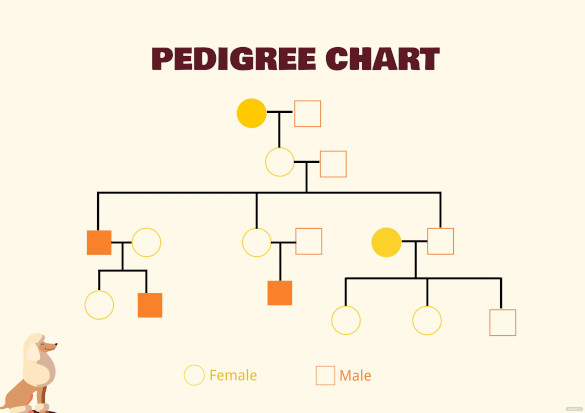 31+ Pedigree Chart Templates - PDF, DOC, Excel