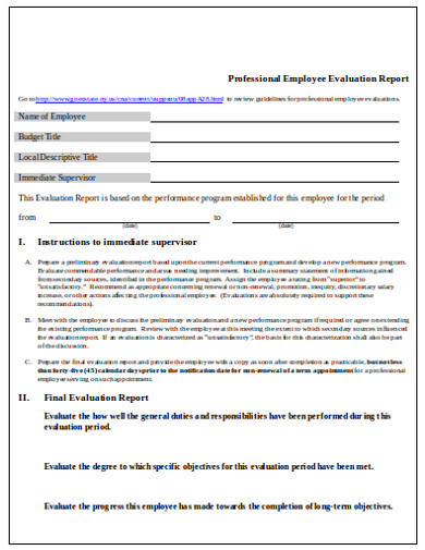 10 Preliminary Assessment Report Templates In PDF DOC