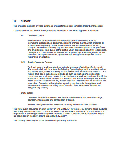 FREE 11 Process Document Templates In PDF MS Word