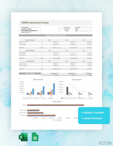 27+ Financial Projection Templates in Google Docs | Google Sheets ...
