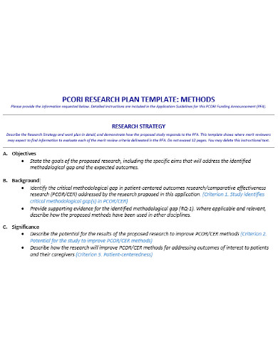 12+ Research Work Plan Templates in PDF | MS Word