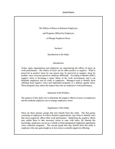 FREE 8 Business Research Report Templates In PDF MS Word XLS