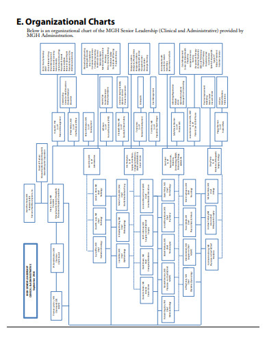8+ Partnership Organizational Chart Templates in PDF | Word | Google ...