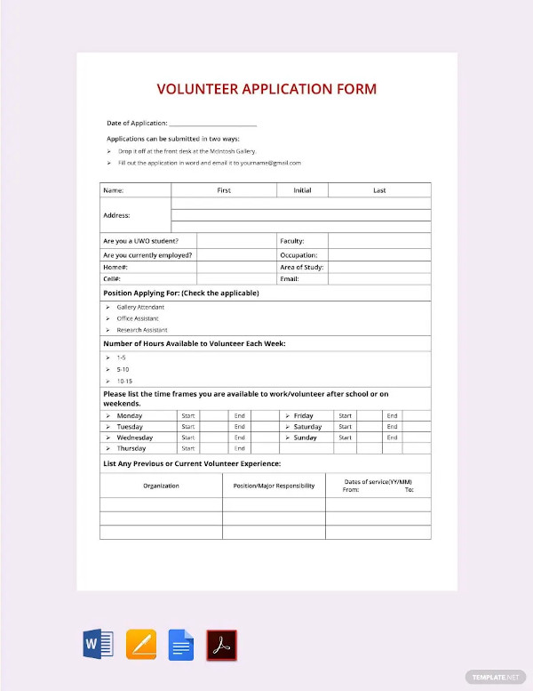 14+ Volunteer Application Template - Word, PDF