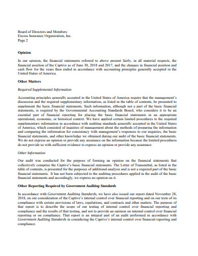 7+ Audit Opinion Letter Templates in PDF | DOC