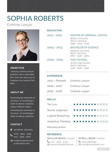 18+ Lawyer Resume Templates - DOC, Excel, PDF