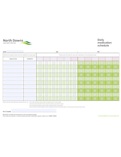 14+ Medication Chart Template - Sample, Example, Format Download!