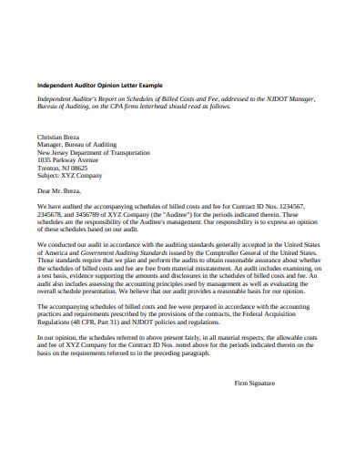 7+ Audit Opinion Letter Templates in PDF | DOC