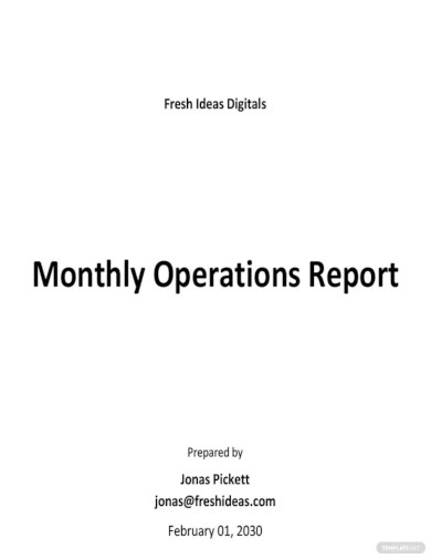 64+ Monthly Report Samples - Word, Docs