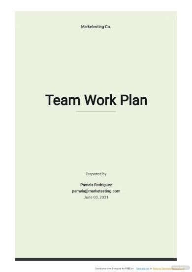 Excel Work Plan Template - 35+ Free Excel Documents Download