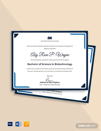 Diploma Certificate Template - 35+ Word, PDF, PSD, EPS, InDesign ...