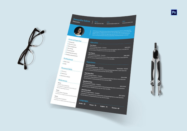 Data Entry Resume Template - 18+ Word, Excel, PDF Format Download!