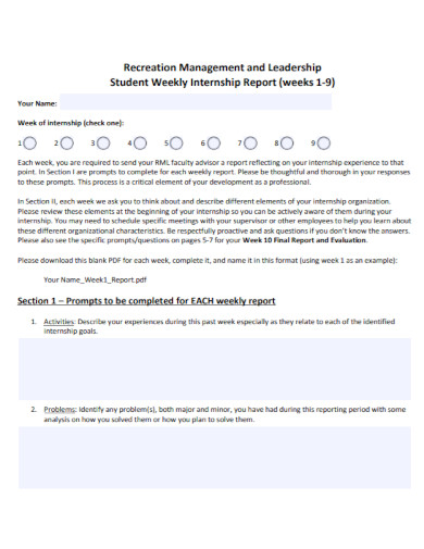 Internship Student Report Template - 17+ Free Word, PDF Format Download!