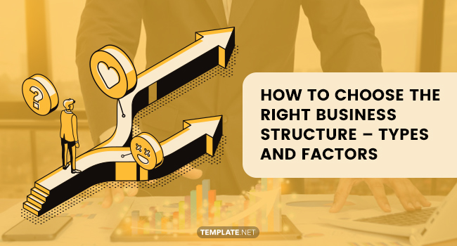 How to Choose the Right Business Structure - Types and Factors