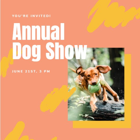 50+ LinkedIn Post Designs, Format & Examples 2023