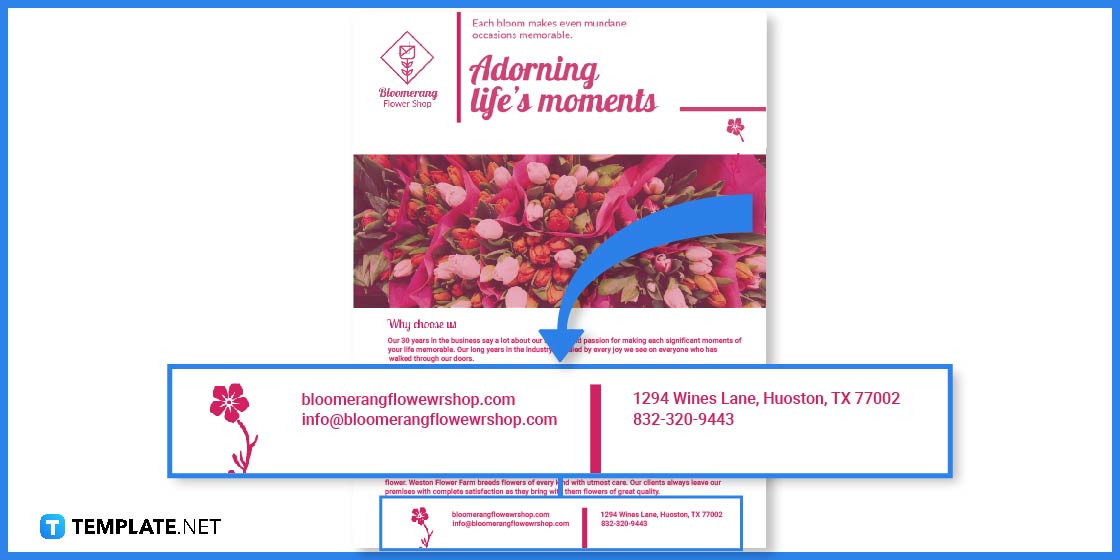 How to Make/Create a Leaflet in Microsoft Word [Templates + Examples] 2023