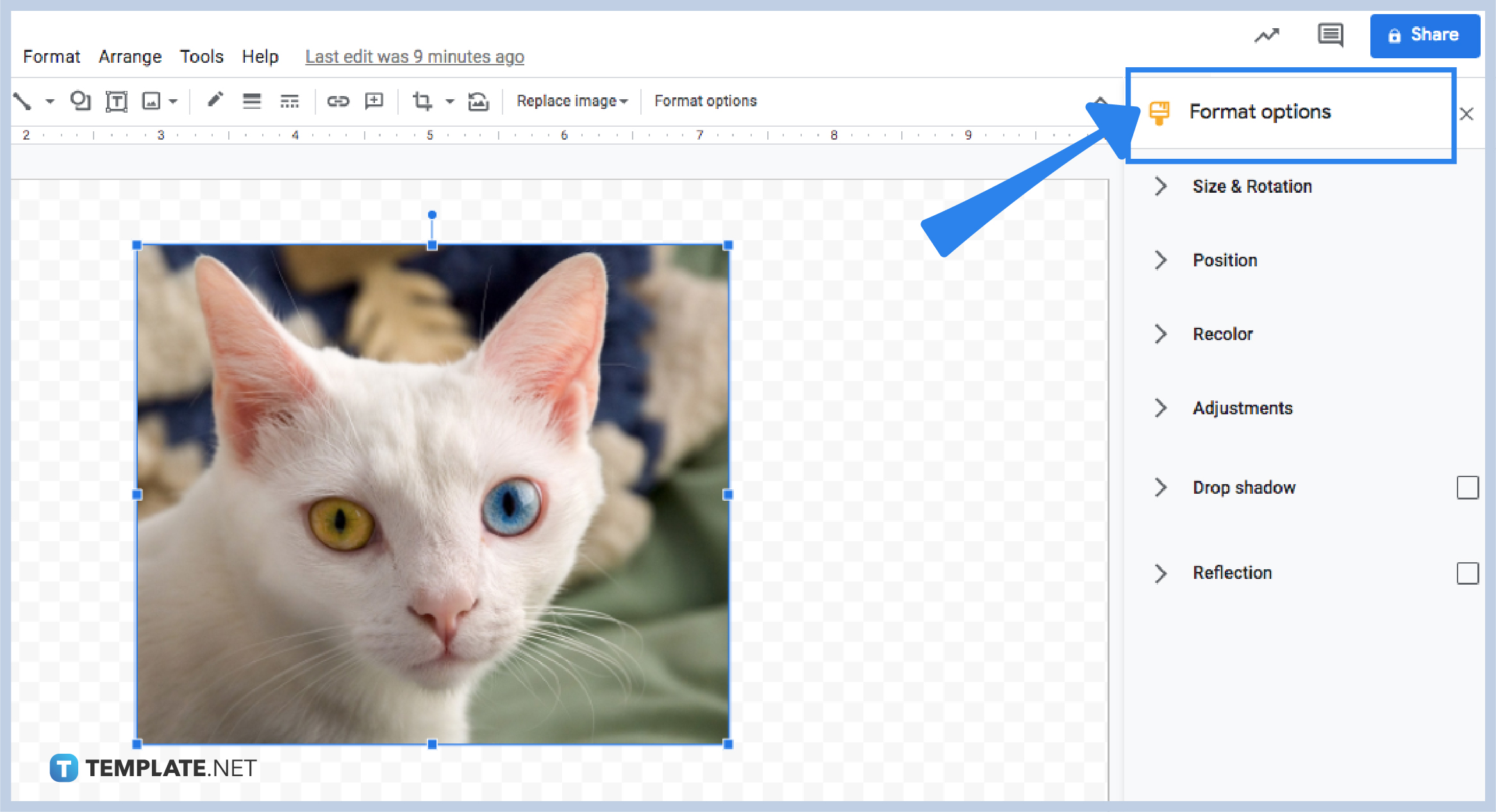 How to Edit Images in Google Drawing?