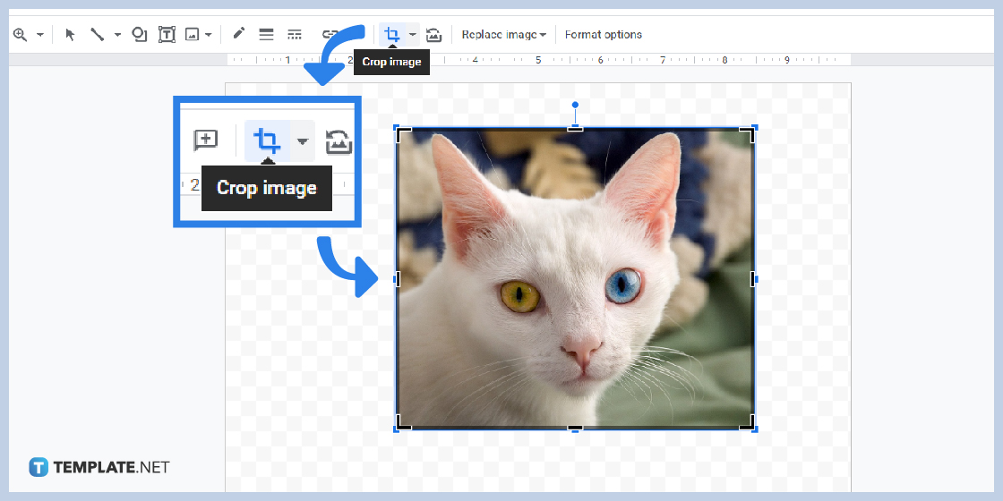 How to Edit Images in Google Drawing?