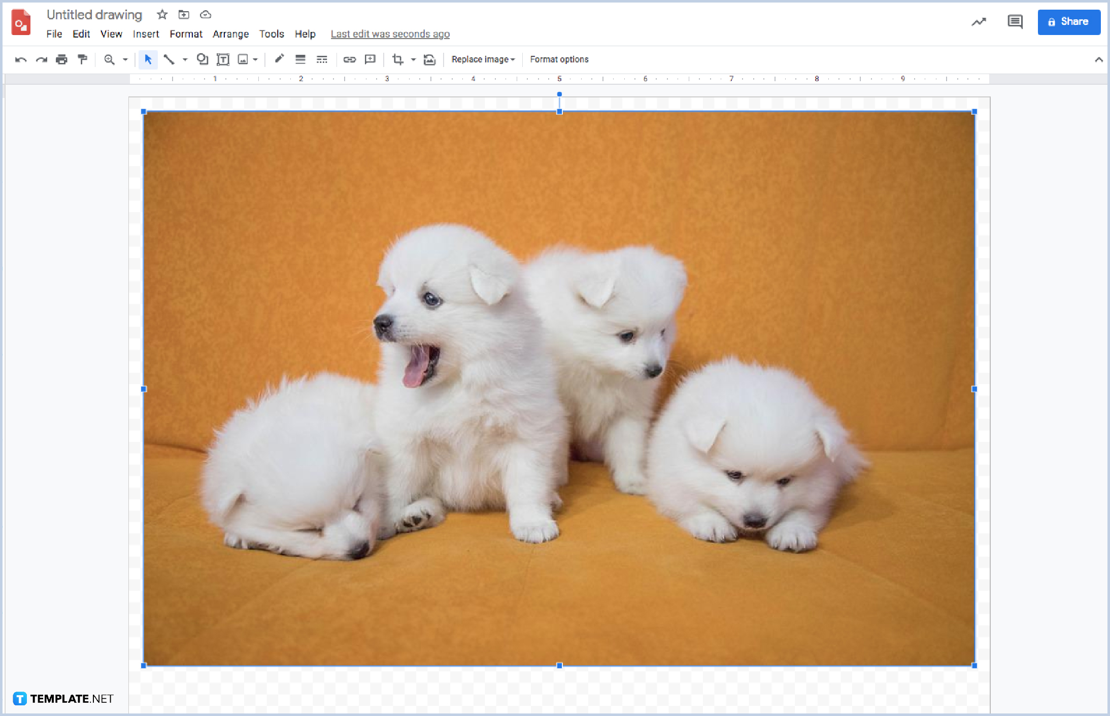 how-to-crop-images-into-any-shapes-in-google-drawings