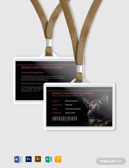 ID Card Ideas - Examples 2023