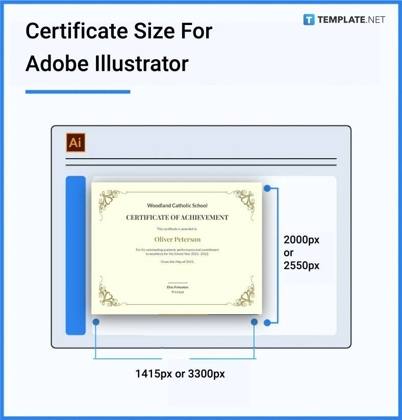 Certificate Size Dimension Inches Mm Cms Pixel
