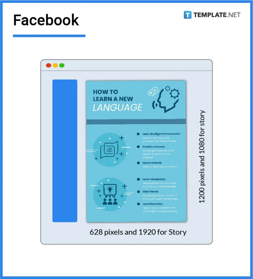 Infographic Size - Dimension, Inches, mm, cms, Pixel
