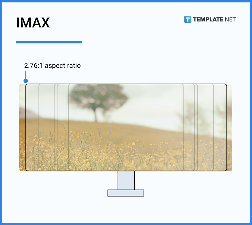 Storyboard Size - Dimension, Inches, mm, cms, Pixel