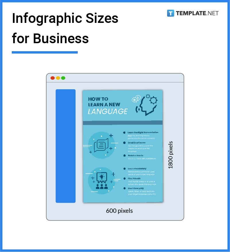 Infographic Size - Dimension, Inches, mm, cms, Pixel
