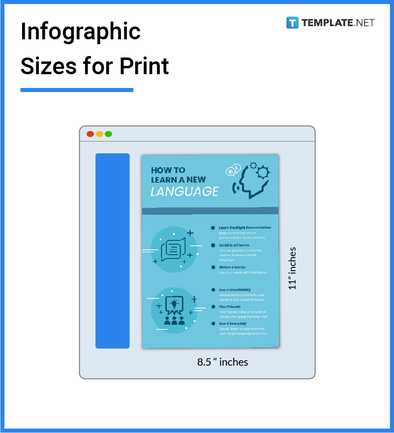 Infographic Size - Dimension, Inches, mm, cms, Pixel
