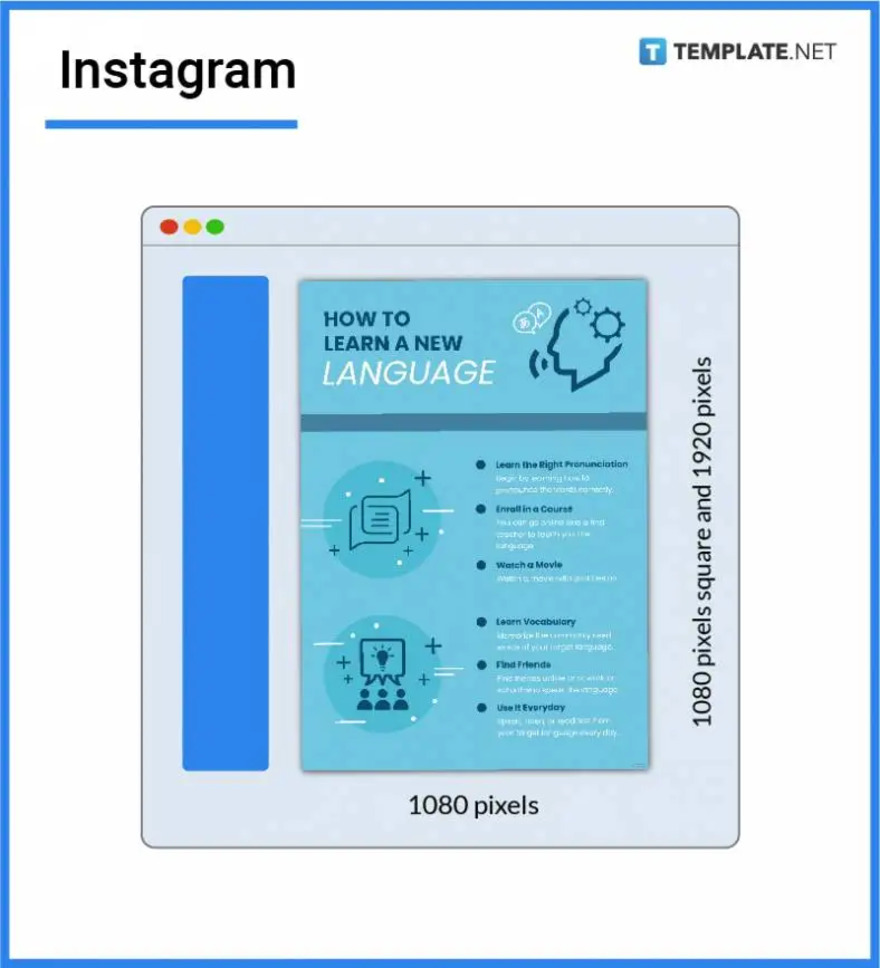 Infographic Size - Dimension, Inches, mm, cms, Pixel