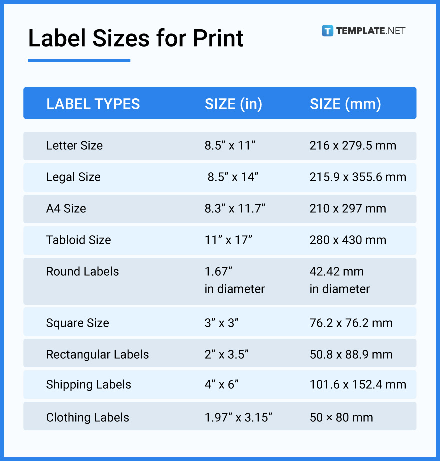 Label Size Dimension Inches Mm Cms Pixel