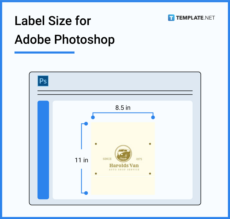 Label Size - Dimension, Inches, mm, cms, Pixel