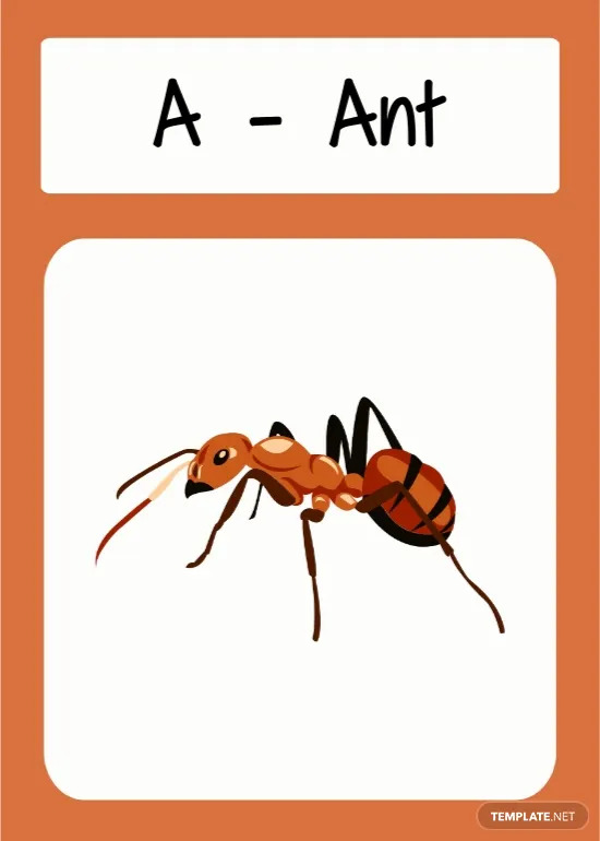 Flashcard - What Is a Flashcard? Definition, Types, Uses | Free ...