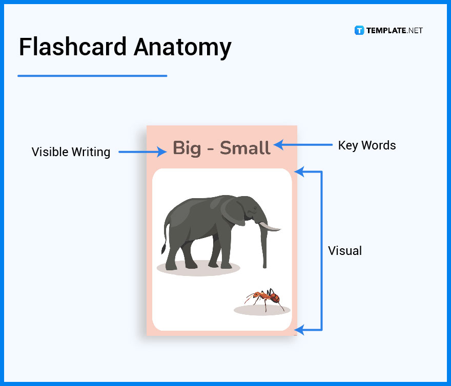 Flashcard - What Is a Flashcard? Definition, Types, Uses | Free ...